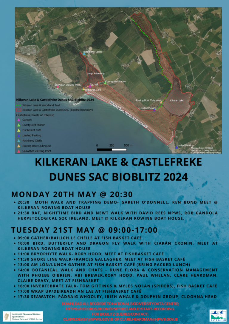 BioBlitz 2024 - Glengarriff Nature Reserve